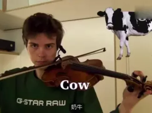 你以为小提琴是高端大气的高冷乐器么, 男孩小提琴模仿各种动物的...