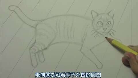 漫画教程 猫的画法