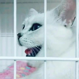 哈哈哈哈哈都给我笑 