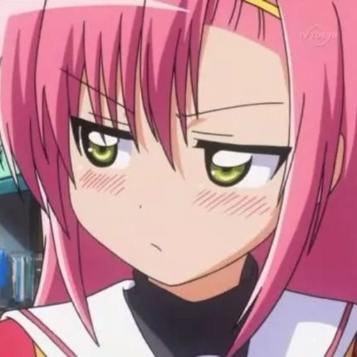 桂雏菊天下第一 