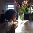 朋克养生会长 