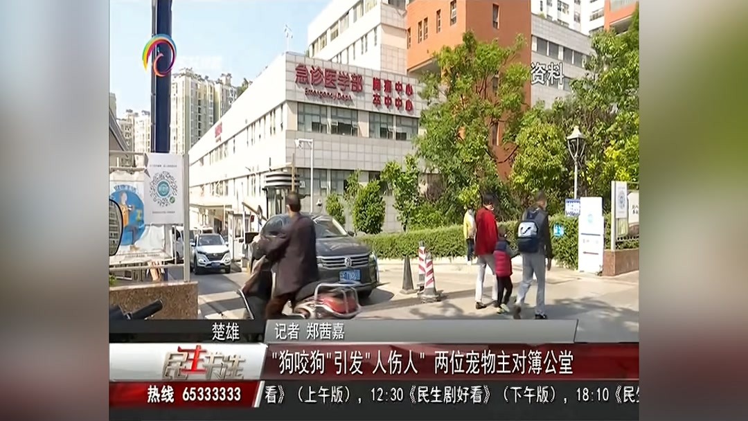 “狗咬狗"引发"人伤人”两位宠物主对簿公堂