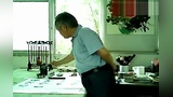 隶书书法视频