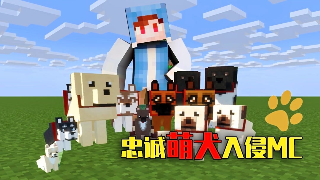 我的世界mod:裤子化身狗王?召唤忠诚萌犬横扫MC世界
