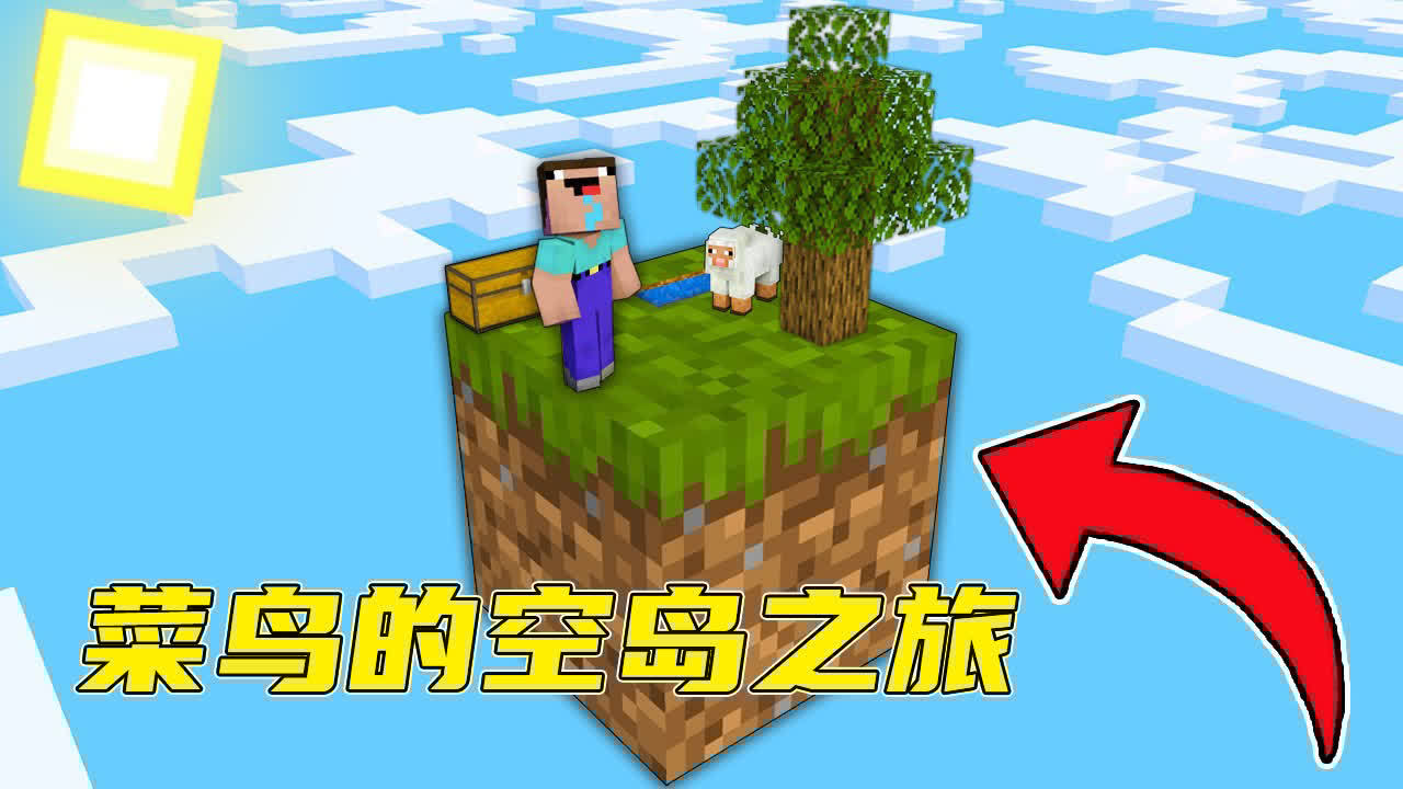 我的世界MC│菜鸟竟然莫名其妙被传送到了空岛!这可怎么办?该怎么...