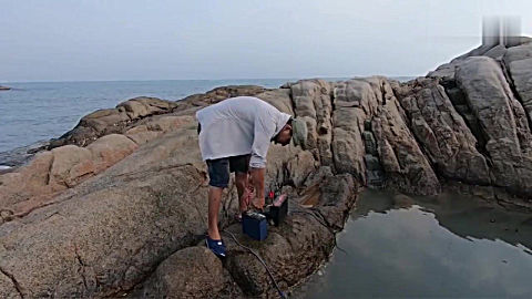 小伙赶海扛着两台抽水机抽干深水塘,里面的大货全被拿下