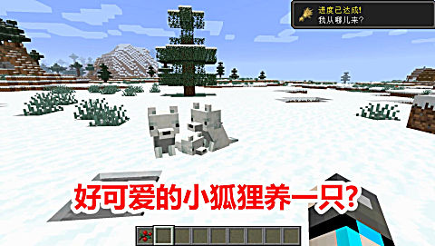 我的世界:更新后MC加入新生物,原地召唤可爱白狐!