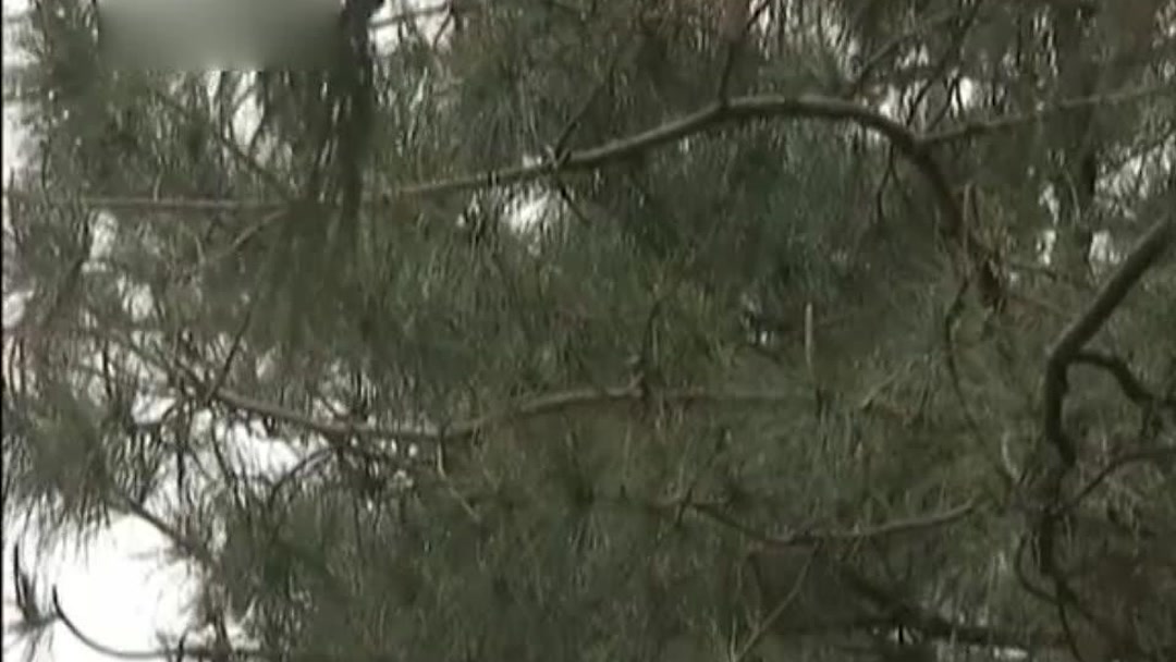 明日起南方地区将出现持续性暴雨