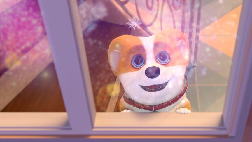 飞狗MOCO | 有主人的陪伴,才是真正的过节