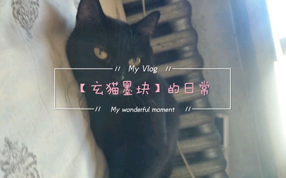 【玄猫墨块】的日常01