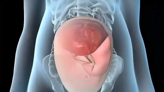 3D视频还原孕妇分娩全过程,惊叹不已,母爱太伟大了!