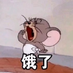 不胖不胖一点也不胖 