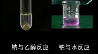 钠分别与乙醇及水反应的视频