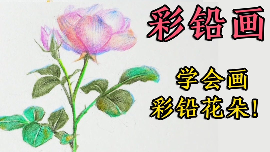 5分钟,让你学会画彩铅花朵!