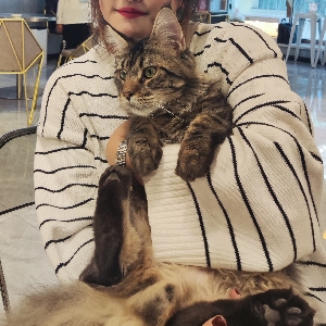 仔仔叮瓜瓜上岸版 