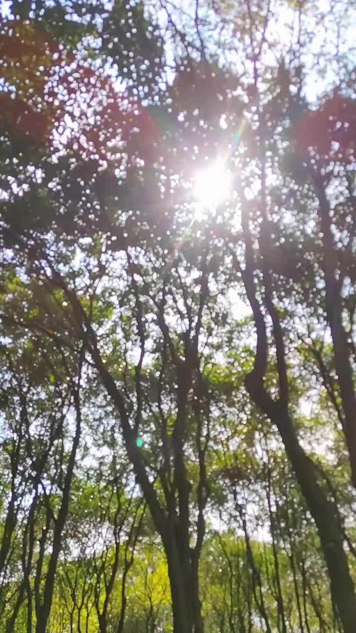 想好了吗 这个夏天和谁一起过. #文案