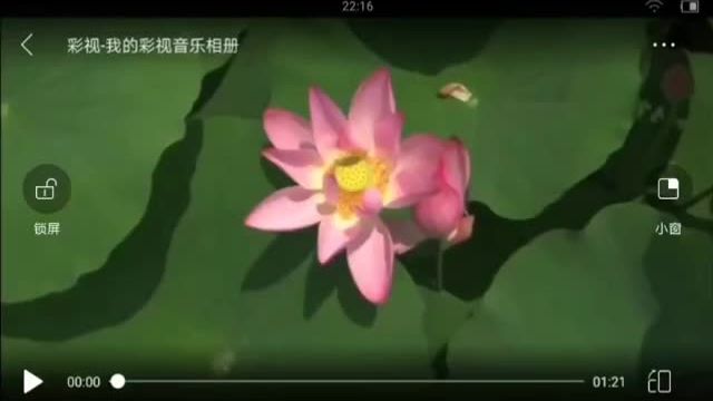 大实验语文组“享读书之乐,浴书香之醇”教研活动。