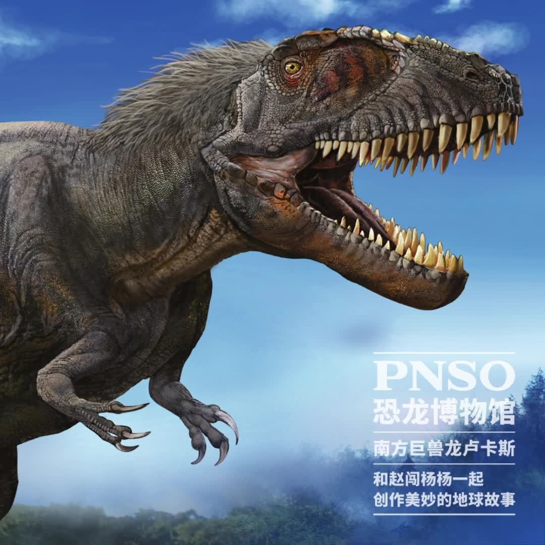 PNSO恐龙博物馆系列模型 南方巨兽龙卢卡斯