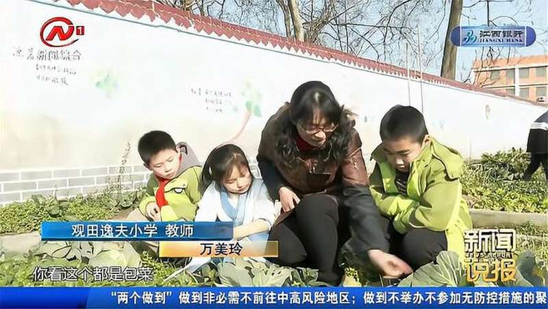南昌:“双减”落地课后服务个性化,萌娃菜园秒变“菜农”