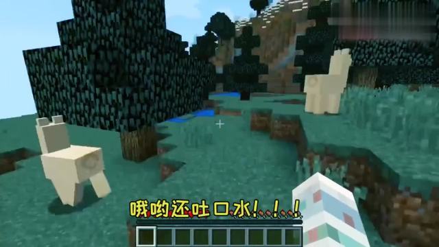 ...:有趣的恐龙mod,这么多恐龙可以开个动物园.