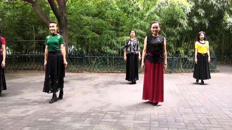 紫竹广场舞红枣树分解动作,阿姨们跳得真好看