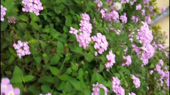 20214.4发现美的一天太可#记录生活中的小美好