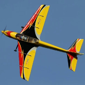 东方爵竹大东海 