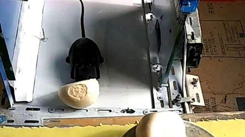 做了个自动捕鼠器,老鼠站上去的那一刻,这机器真是厉害了!