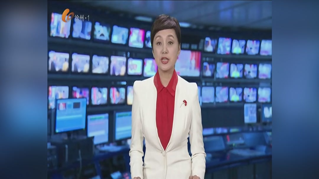 庄兆林作批示:全面提升市域社会治理能力水平