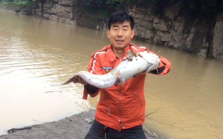 快乐野钓小河水头狂上野生鲇鱼