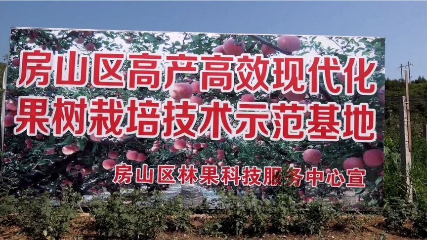 房山区高产高效现代化果树栽培技术