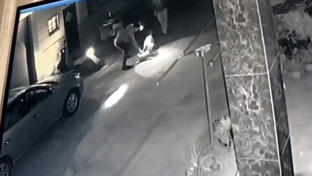 太残忍!两男子按住猫头故意让狗疯狂撕咬致死,过程持续1分钟