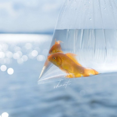 卡车女司机安徽宏姐 