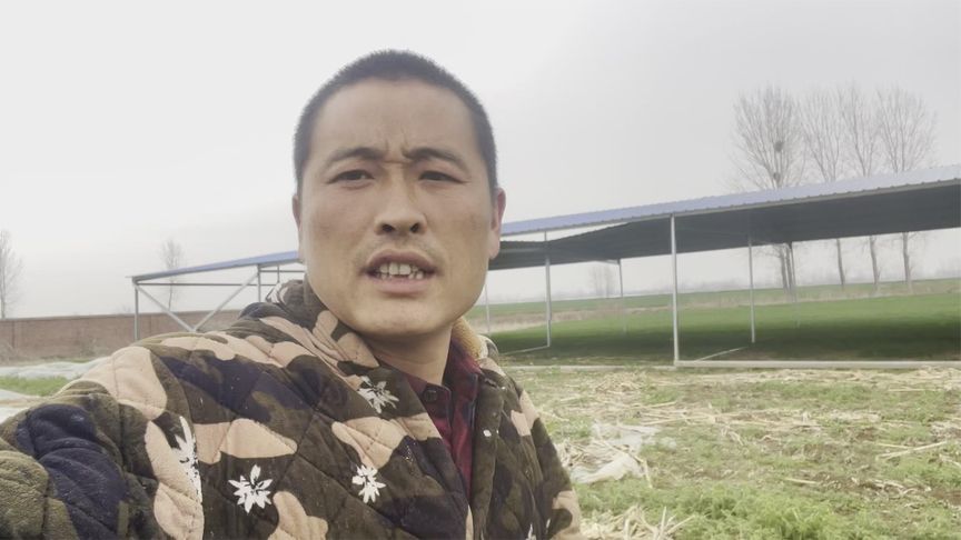 刚建好的钢结构厂房,一阵大风刮塌了,没人愿意承担维修费用
