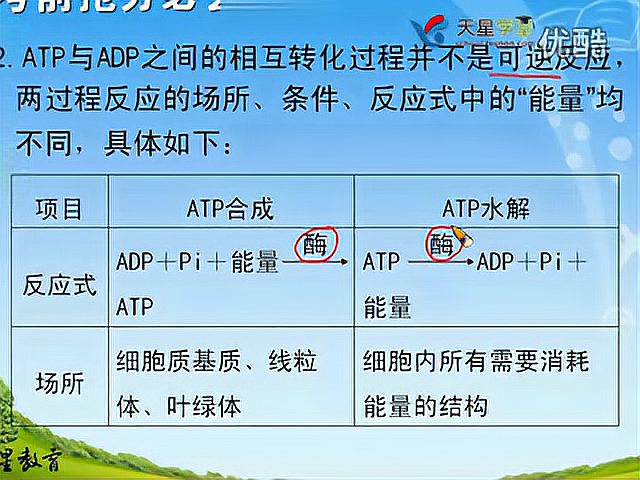 [天星学堂]高考冲刺考点ATP与ADP之间的相互转化