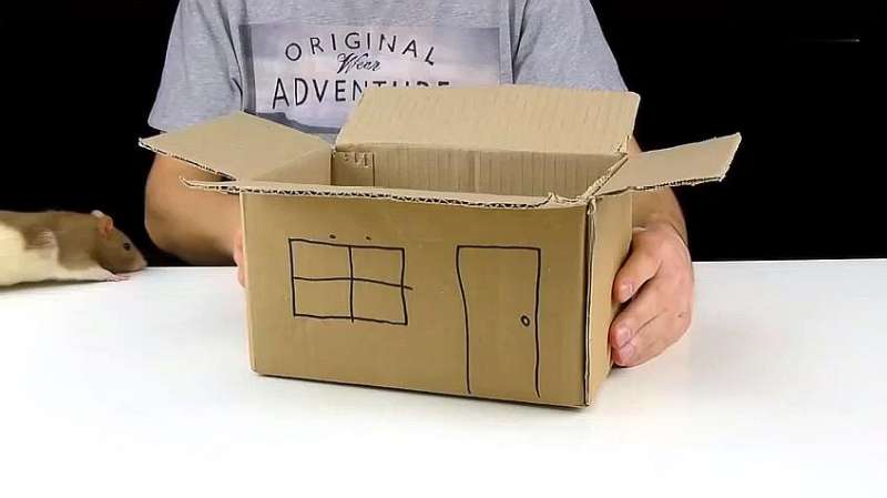 创意生活:为宠物小仓鼠DIY制作房子