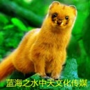 蓝海之水中天文化传媒 