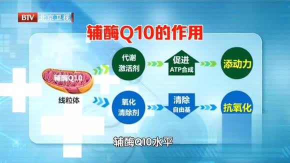 #北京卫视#养生堂#心脑血管养护 #三剑客 #辅酶Q10