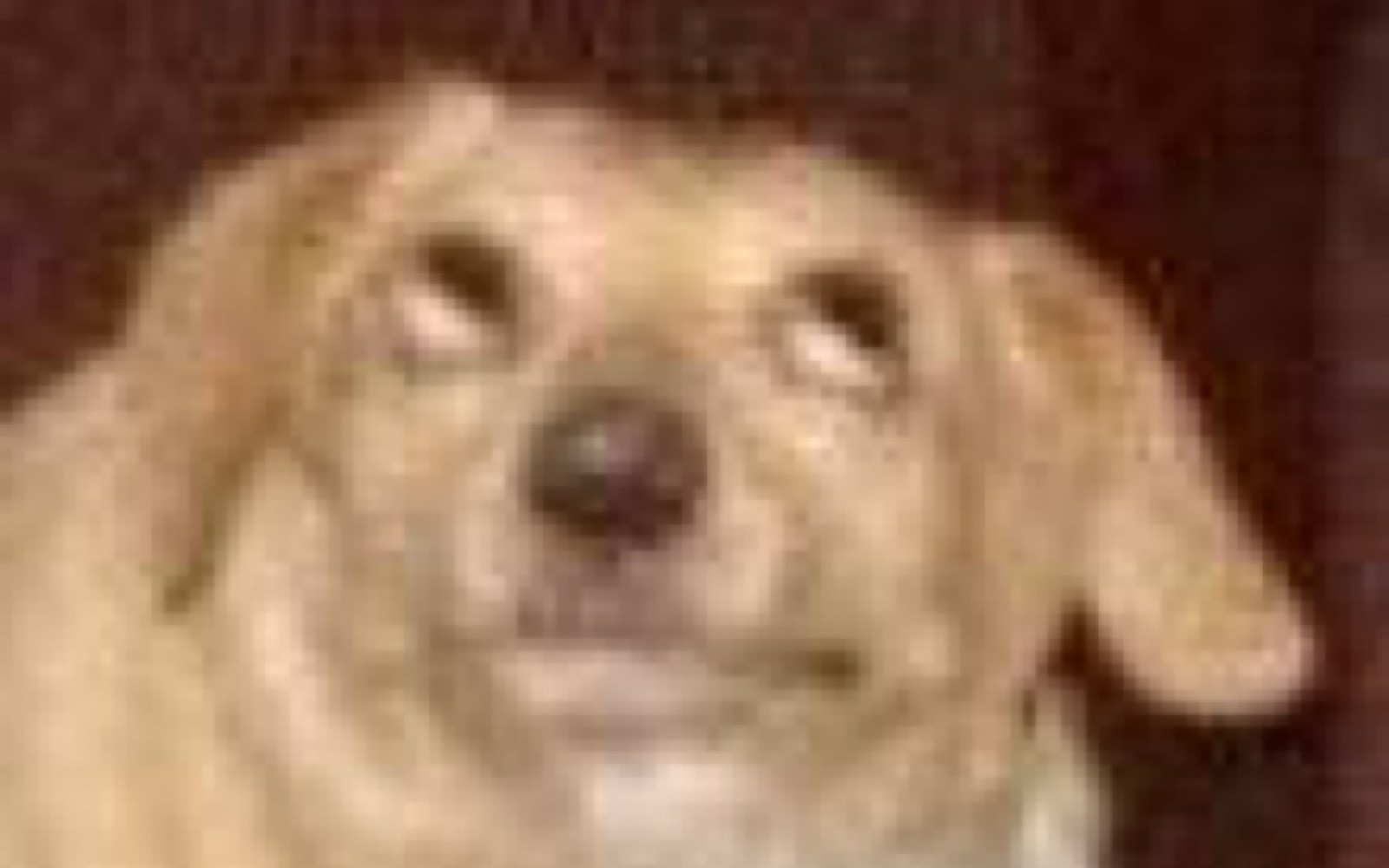 倒计时一天,一分27