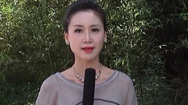 汽车自动刹车系统,减少汽车追尾的有效装置