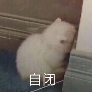 思无言 