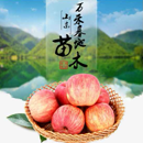 万禾苗木有限公司 