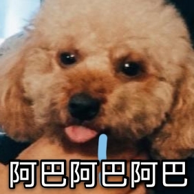 小飞elephant 