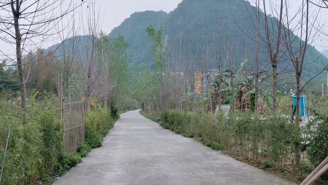 旅游度假不妨来这里,广西月亮河长寿村