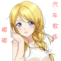 嘟嘟汽车教练 