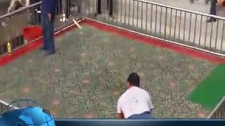 亲余 附近哪里有出售比特幼犬的,哪里能买到纯种比特犬