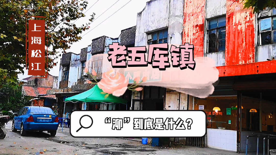08 上海松江 老五厍镇 浦南的泖田文化