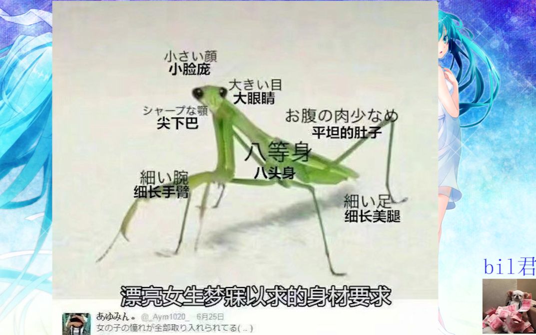 女朋友梦寐以求的螳螂身材,绅士你怎么看——网络上那些搞笑的沙雕...