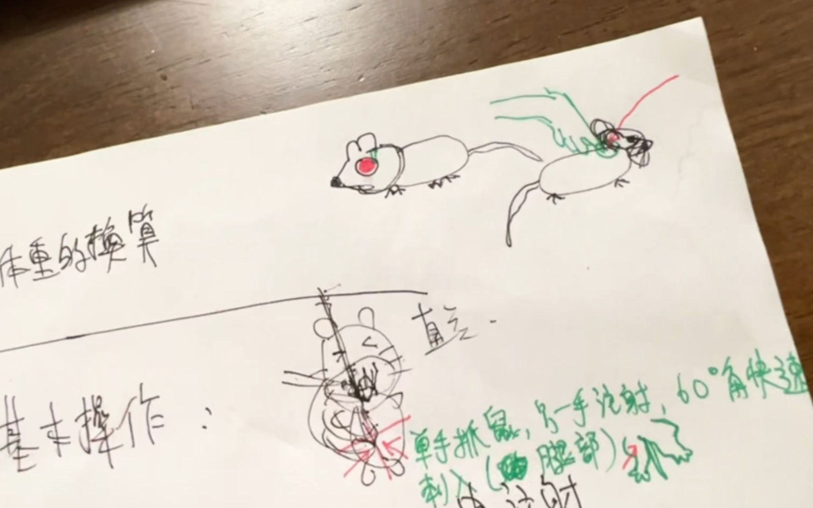 ...(动物编号、捉拿技巧;注射时的技巧;取血)【药理学实验课课后记录】