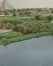 BBC顶级数学纪录片《数学:宇宙的语言》 堪称激发数学思维的高分神作!